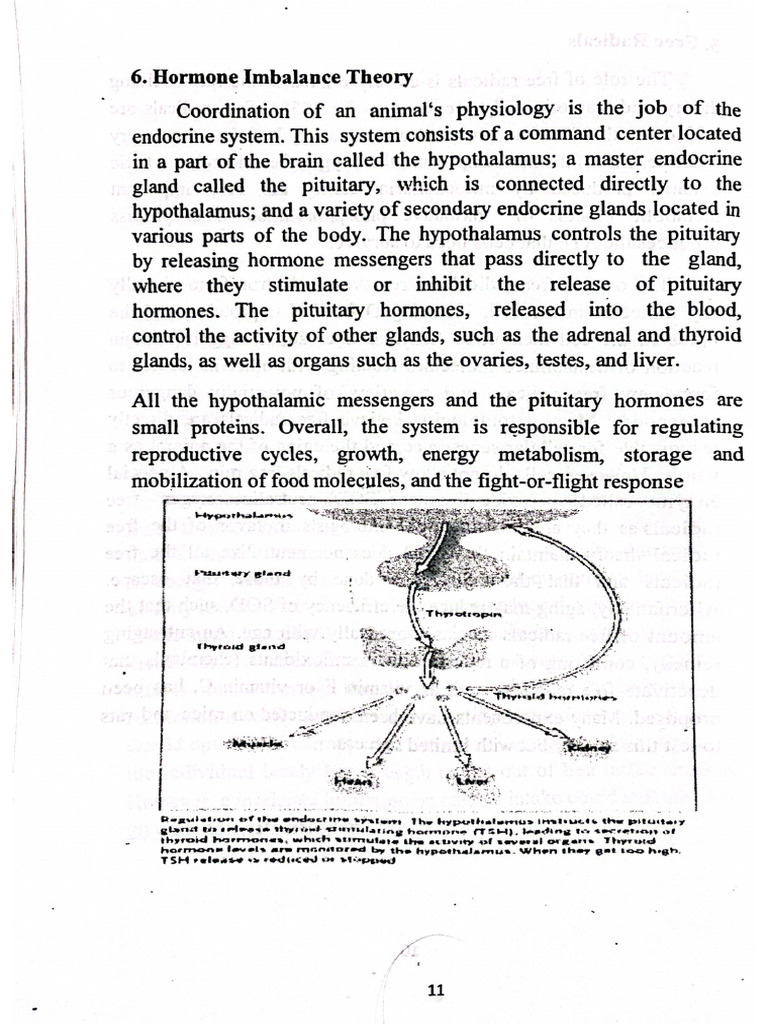 Geriatric Rehabilitation Lec 2 (Part 1) | PDF