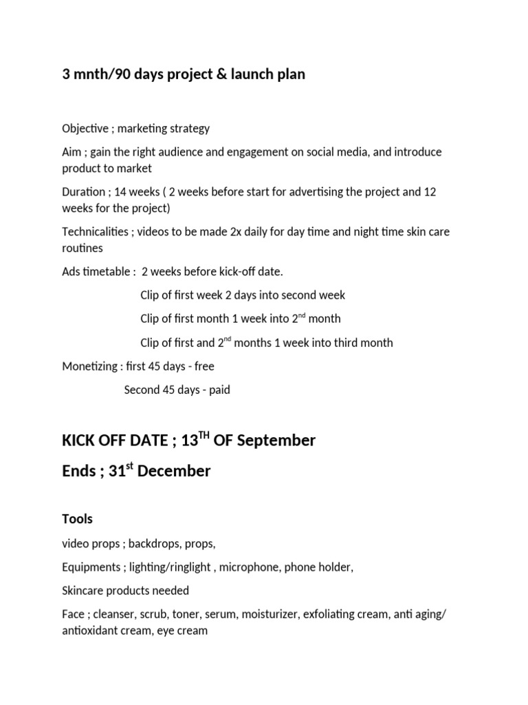 3 Month Project Plan | PDF