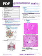 Councilman Body in Human Biology - Wikipedia | PDF | Apoptosis | Liver