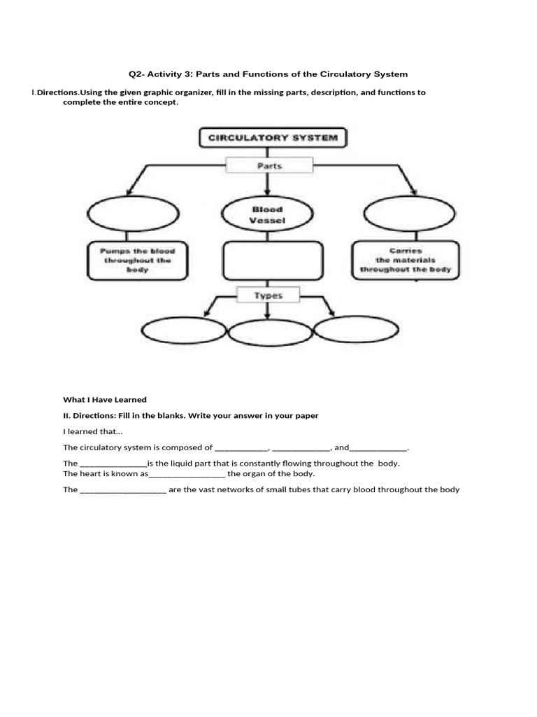 q2 - Activity#3 Circulatory System | PDF