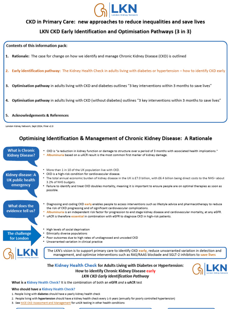 CKD Management Strategies in Primary Care | PDF | Chronic Kidney ...