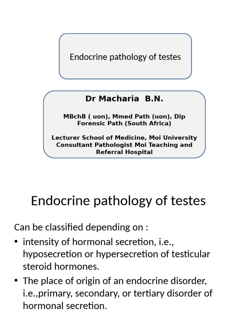 Endocrine Pathology of Testes | PDF | Endocrine System | Medical ...