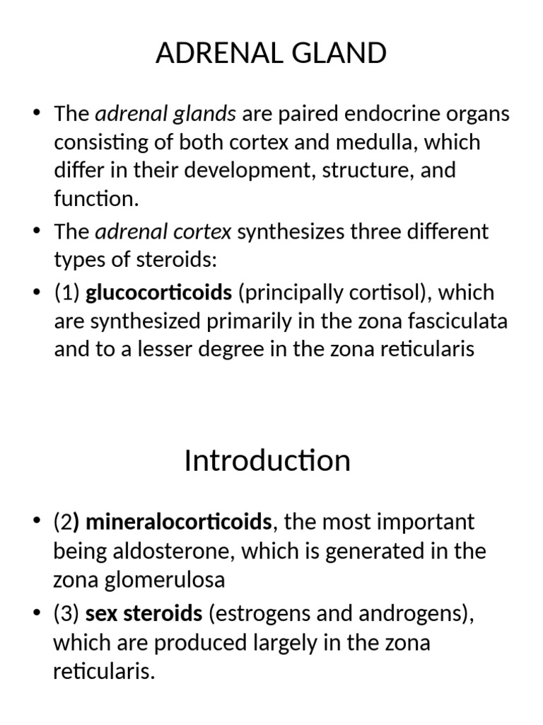 Adrenal Gland MBCHB 3 | PDF | Adrenal Gland | Adrenocorticotropic Hormone