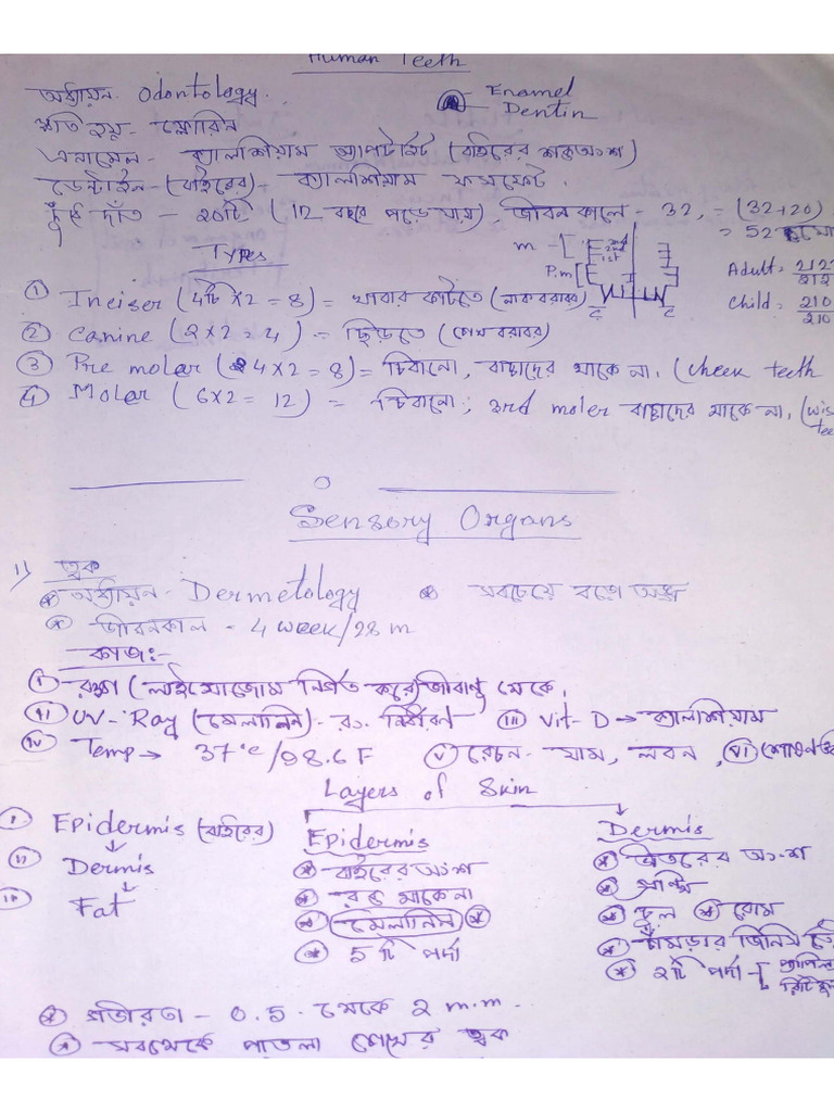 Class Note | PDF