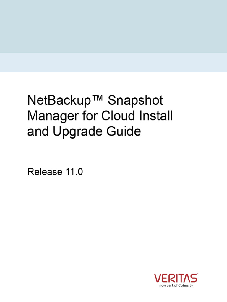 NetBackup11 SnapshotManagerForCloud InstallGuide | PDF | Virtual Machine | Cloud Computing
