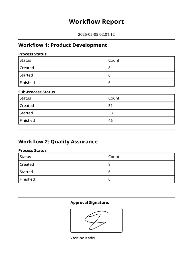 Workflow Report | PDF