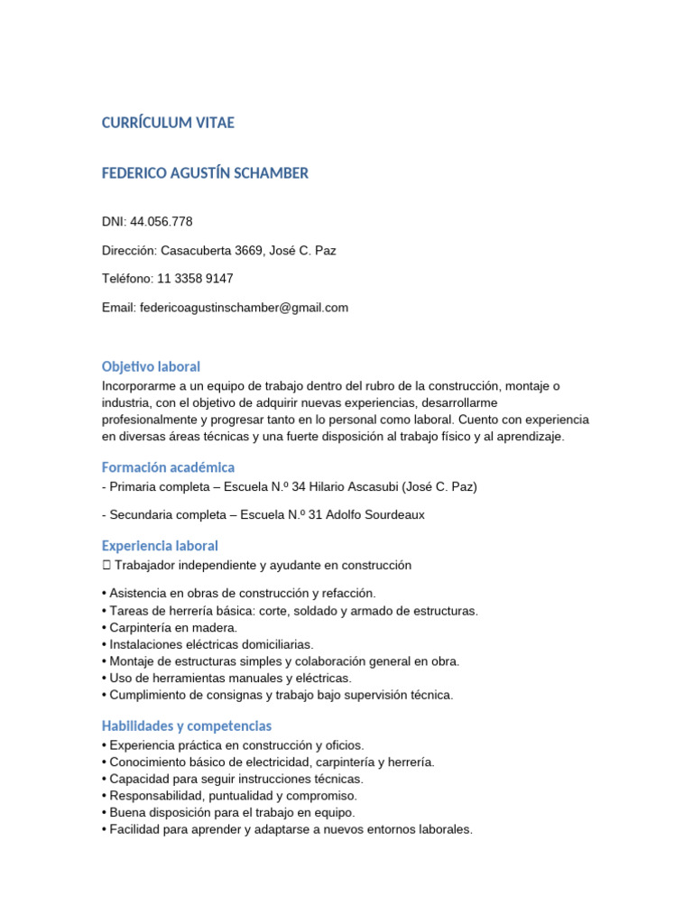 CV Federico Agustín Schamber | PDF