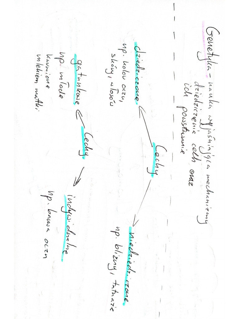 Cechy | PDF