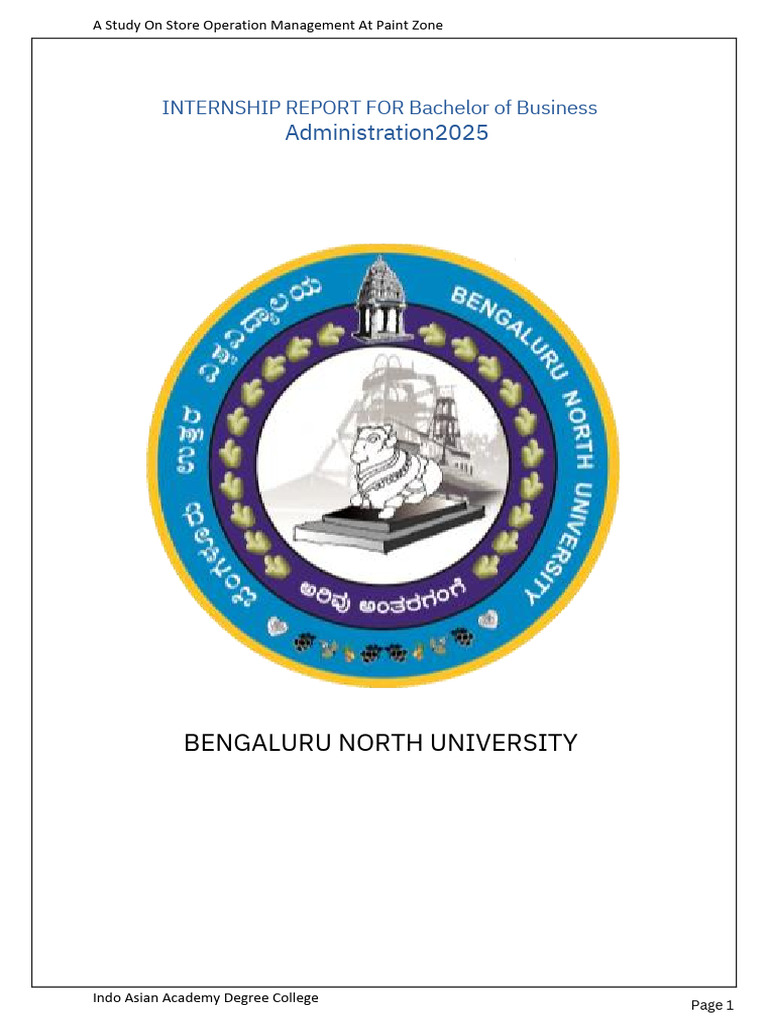 Saqlain Baig Internship Report | PDF | Customer Relationship Management | Inventory