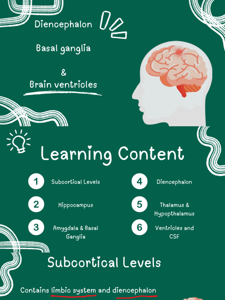 Di Encephalo N | PDF