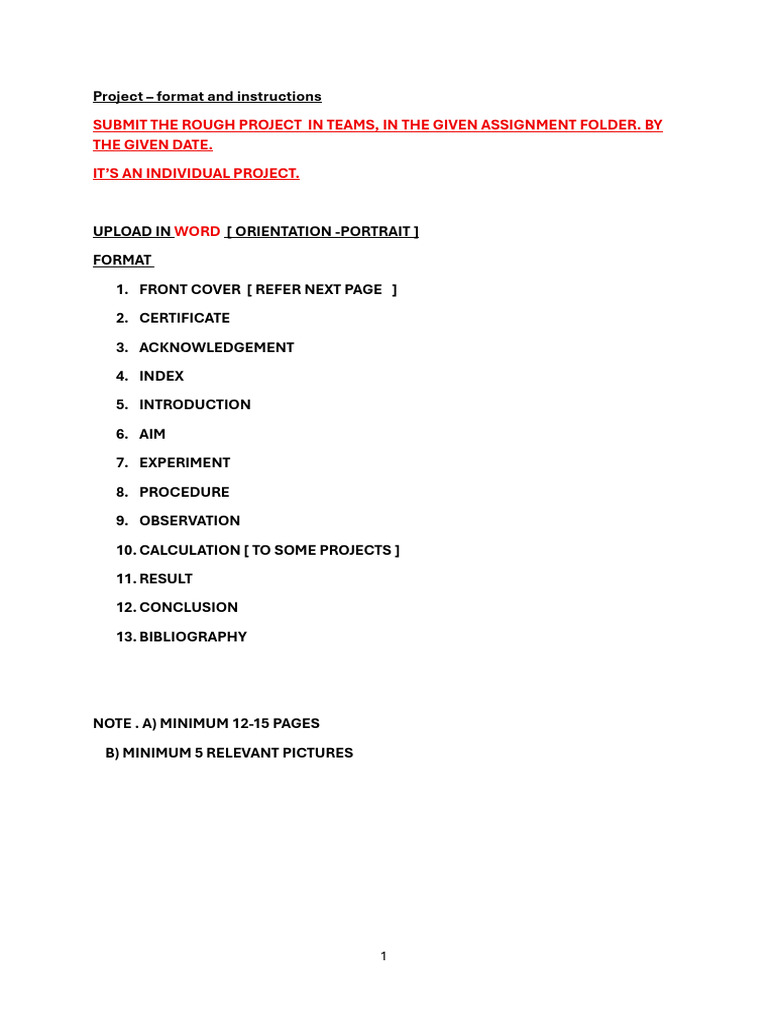 Project Format 100 | PDF