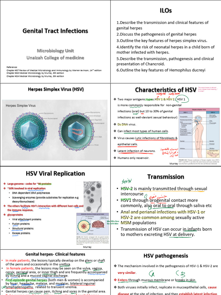 L30: Genital Herpes & Chanchroid | PDF | Virus | Infection