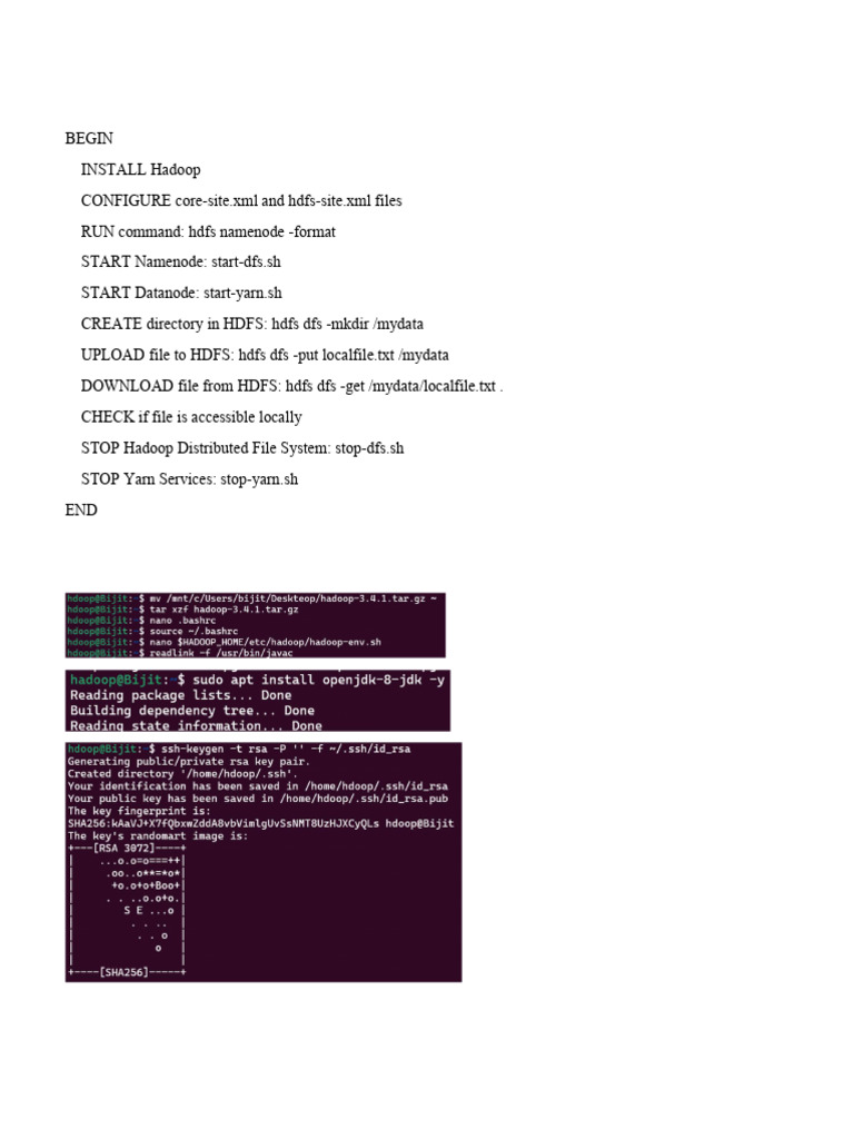BD 2 | PDF