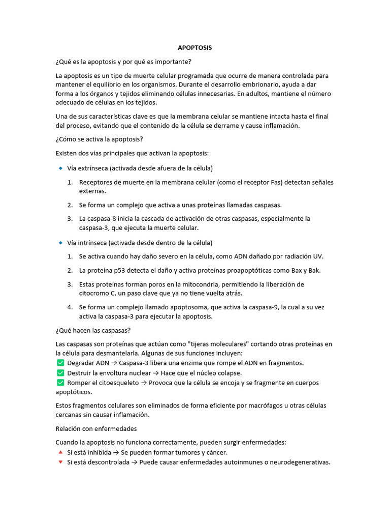 Apoptosis: Muerte Celular Programada | PDF | Apoptosis | Bcl 2