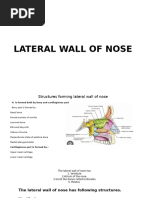 Osteomeatal Complex | PDF | Human Nose | Human Head And Neck