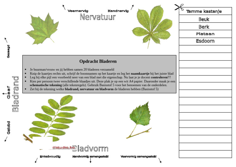 Blade Rop DR Acht | PDF