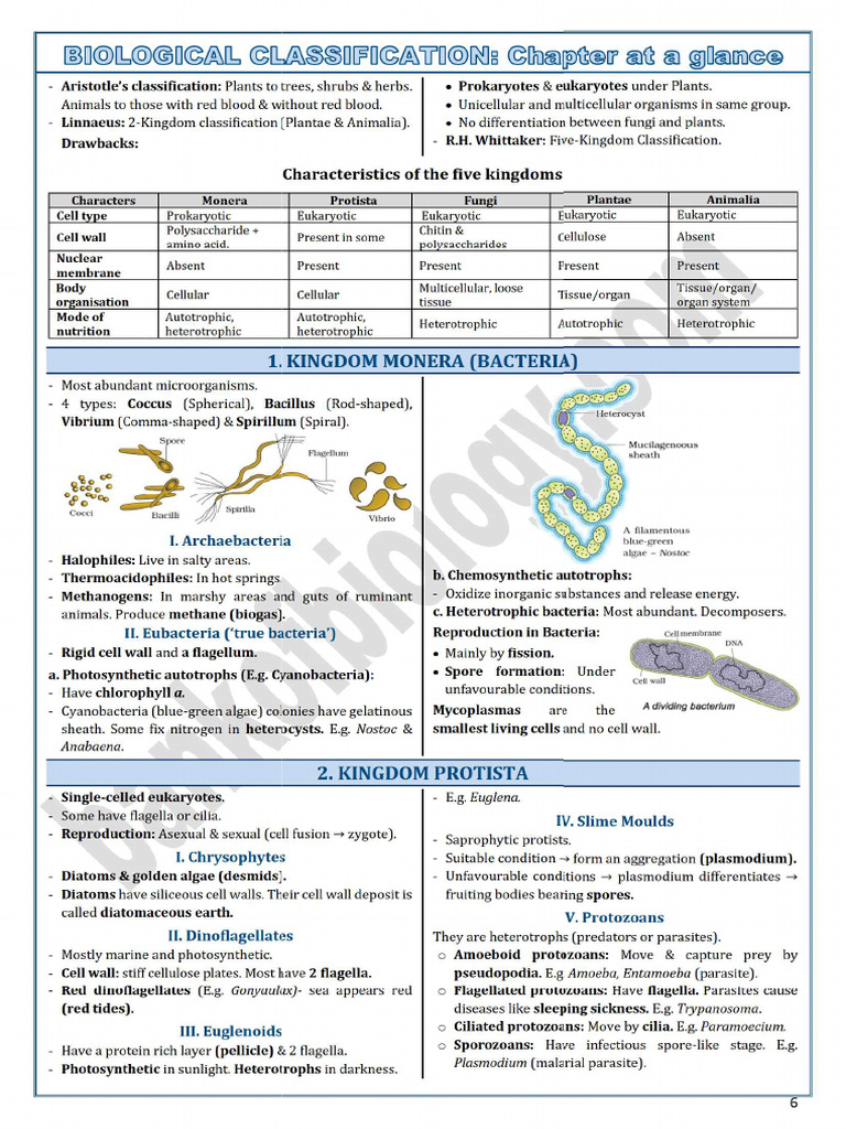 2 Biological Classification Exam Capsule Notes | PDF