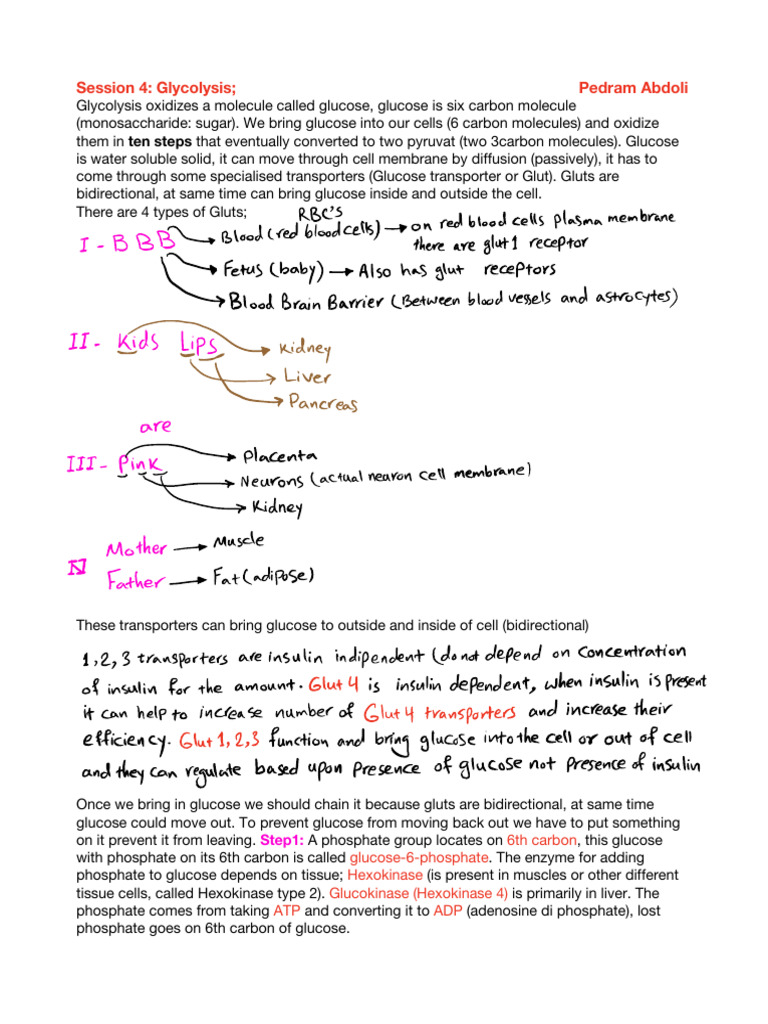 Biochemistry Ninja Nerd Notes - 250111 - 233556 | PDF | Adenosine ...