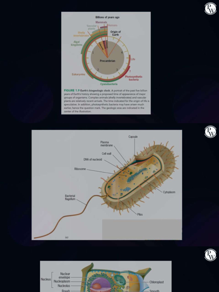 Cell 10class Merge | PDF