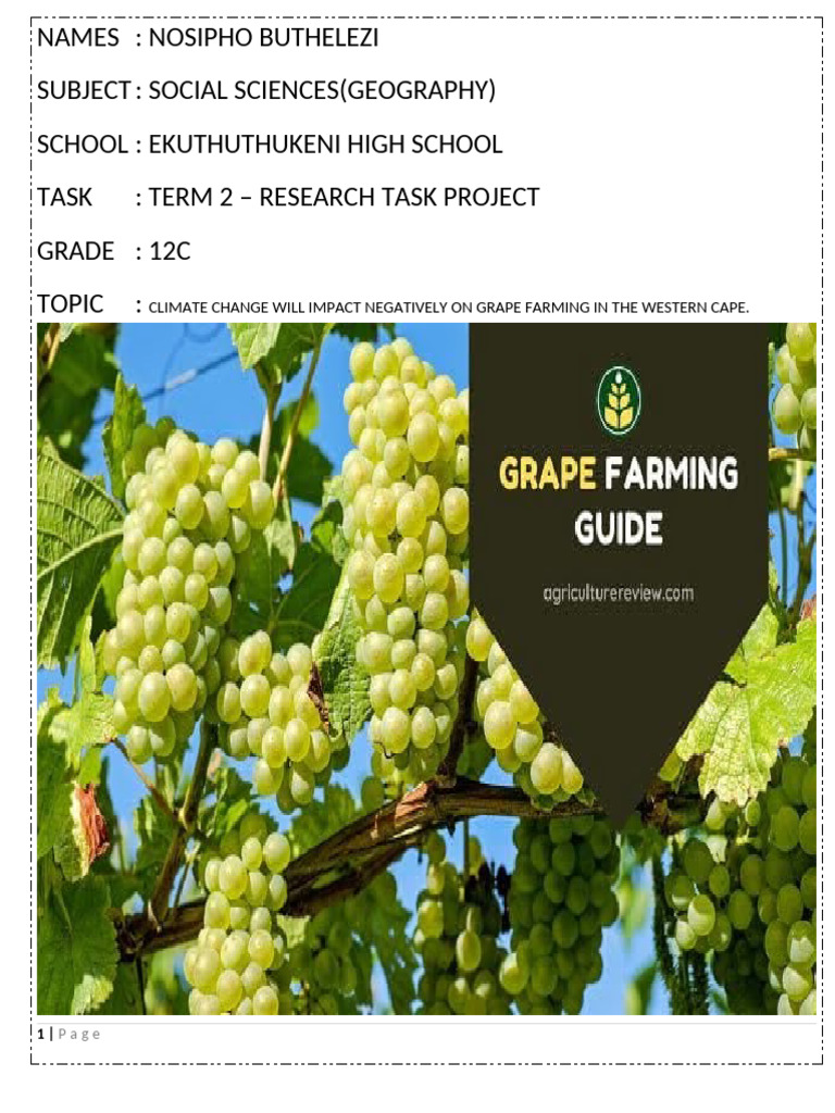 Grape Farming Project | PDF | Agriculture | Sustainable Agriculture
