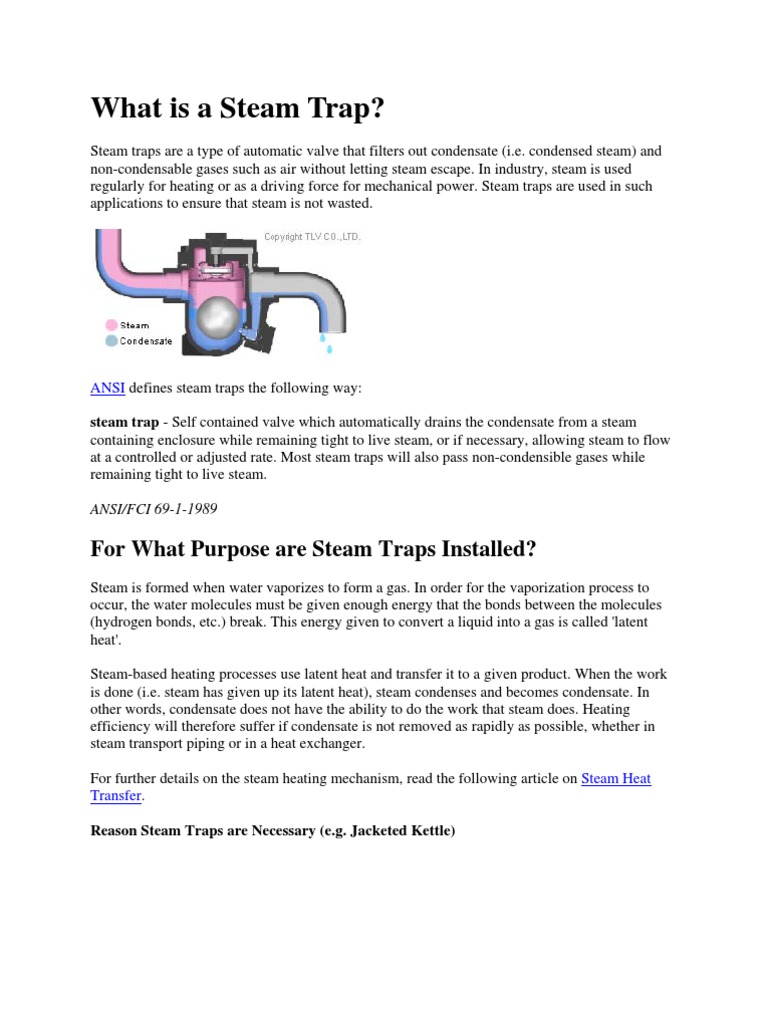 Steam Trap Pdf Steam Heat