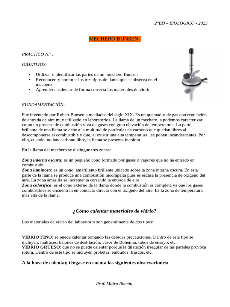 Mechero Bunsen | PDF | Ingeniería de Procesos Químicos | Combustión