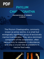 Chaetae and Chaetogenesis in Polychaetes (Annelida) : Harald Hausen ...