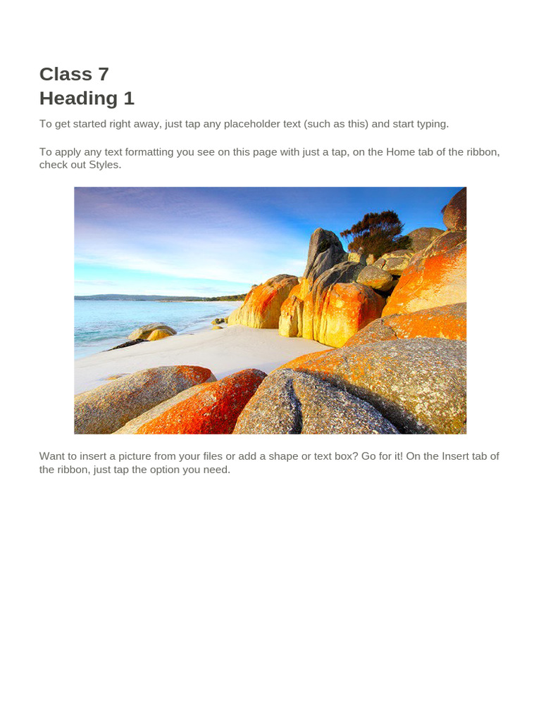 Class 7: Text Formatting Basics | PDF