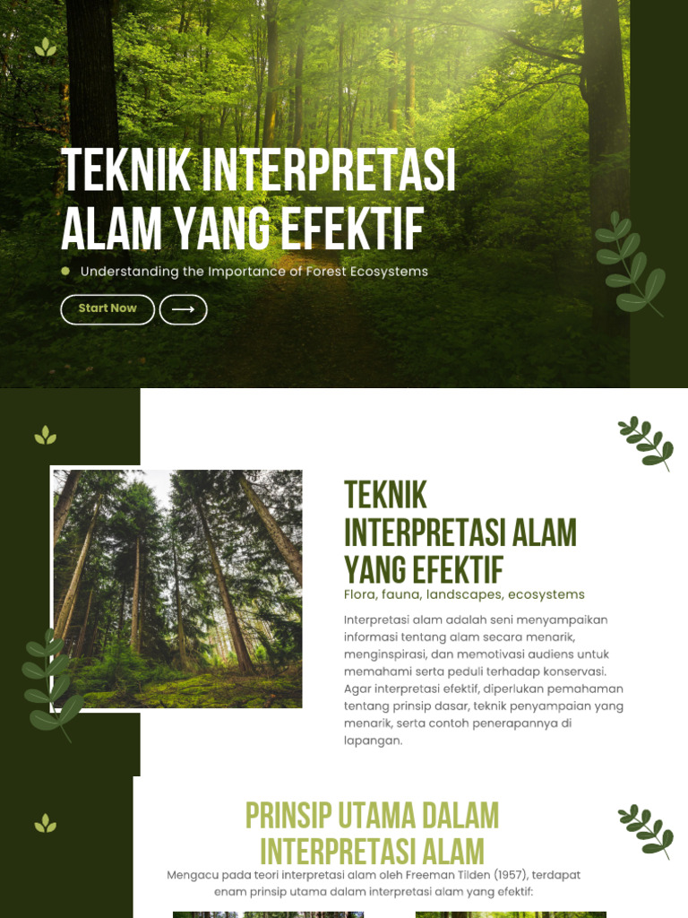Teknik Efektif Interpretasi Alam | PDF