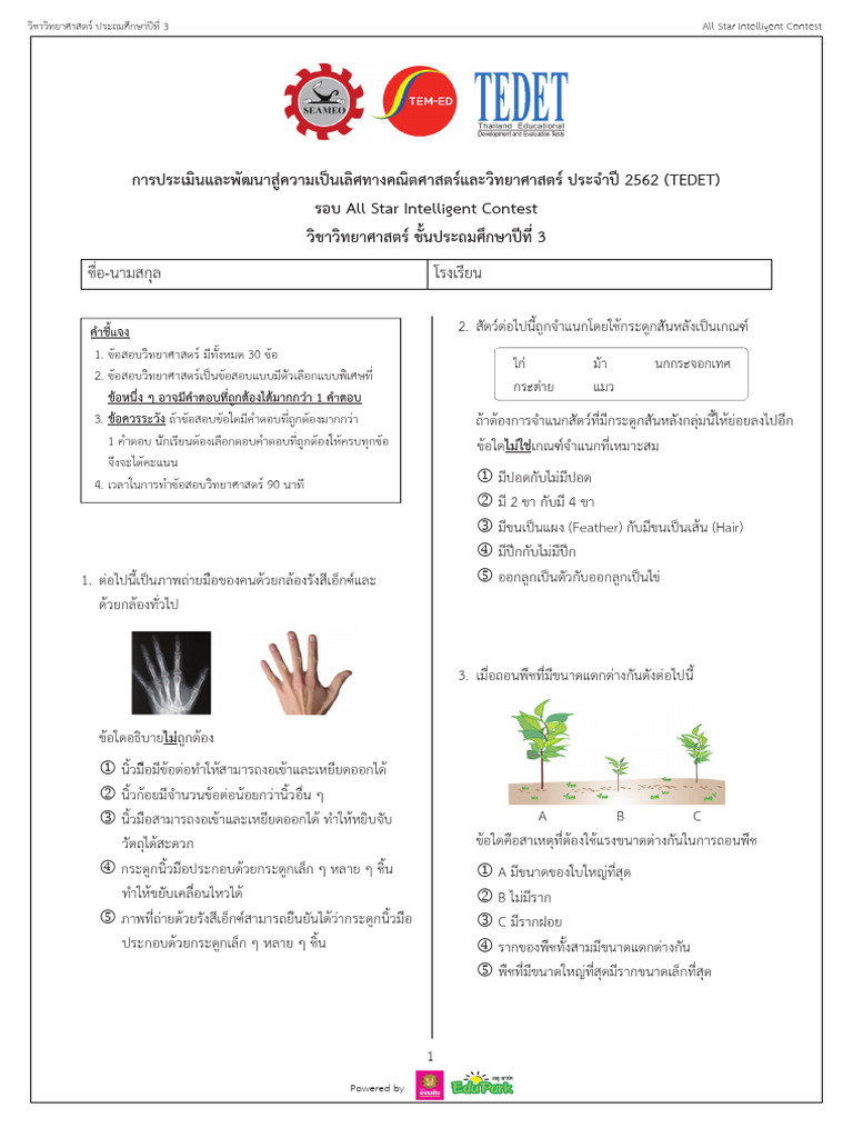 Tedet 62 All Star ป.3 | PDF