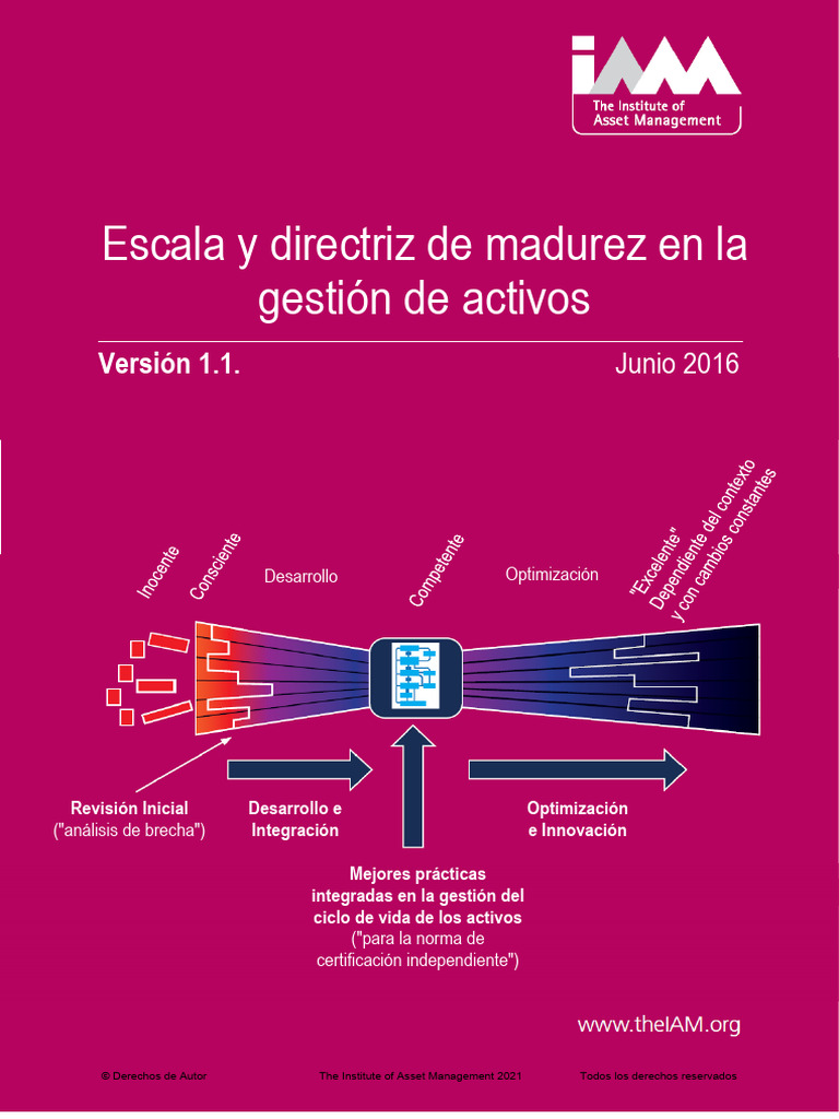 IAM Escala y Directriz de Madurez en La Gestión de Activos (Maturity ...