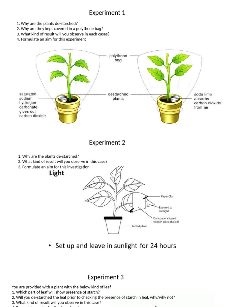 Variables For Plant Nutrition | PDF