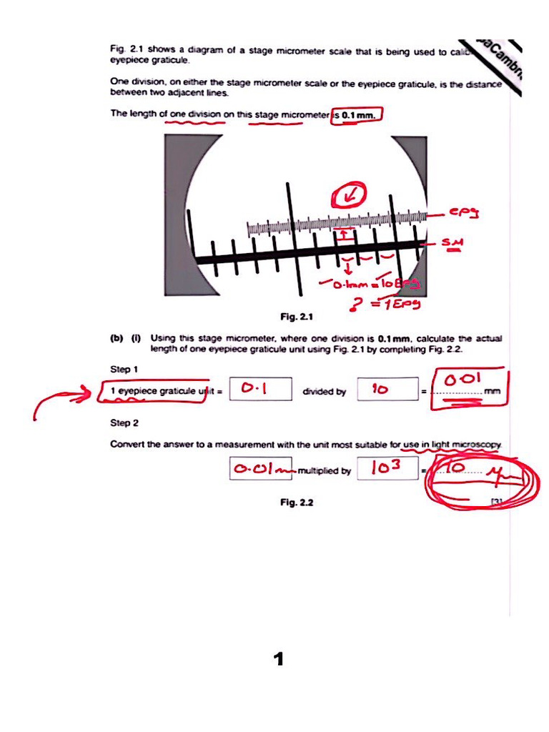 Solved Graticule and Calculations Sheets | PDF