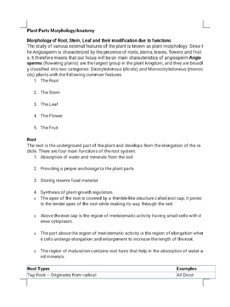 Plant Parts Morphology& Anatomy - Phoenix | PDF