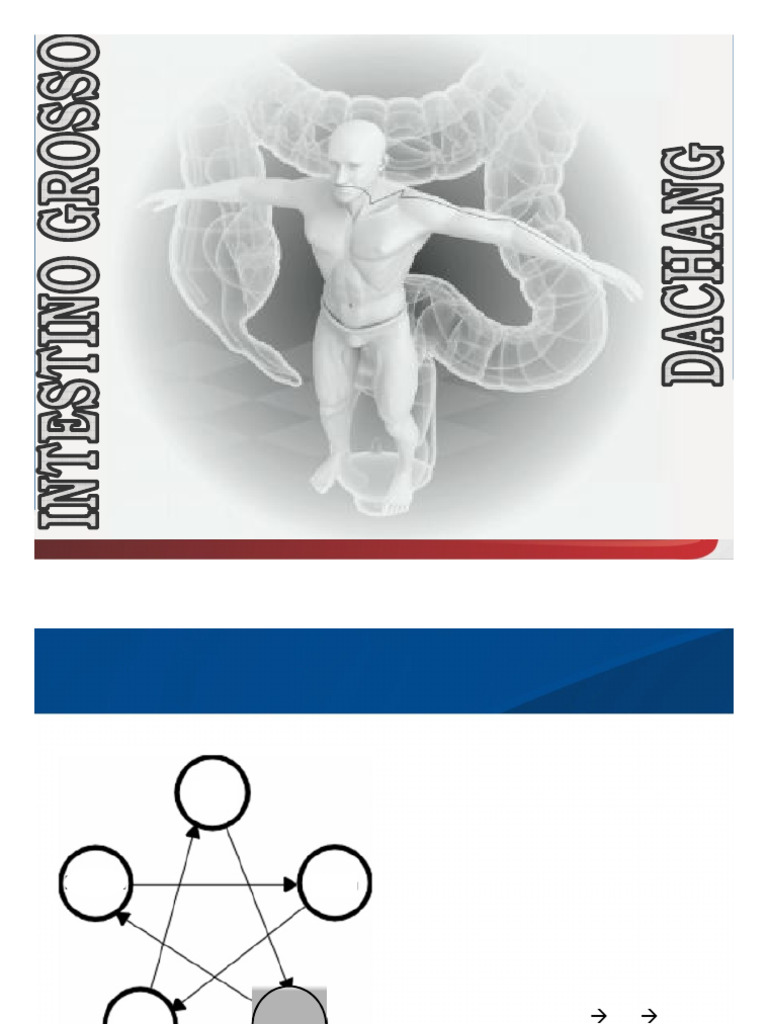 Características do Meridiano do Intestino Grosso | PDF | Dor | Doenças ...