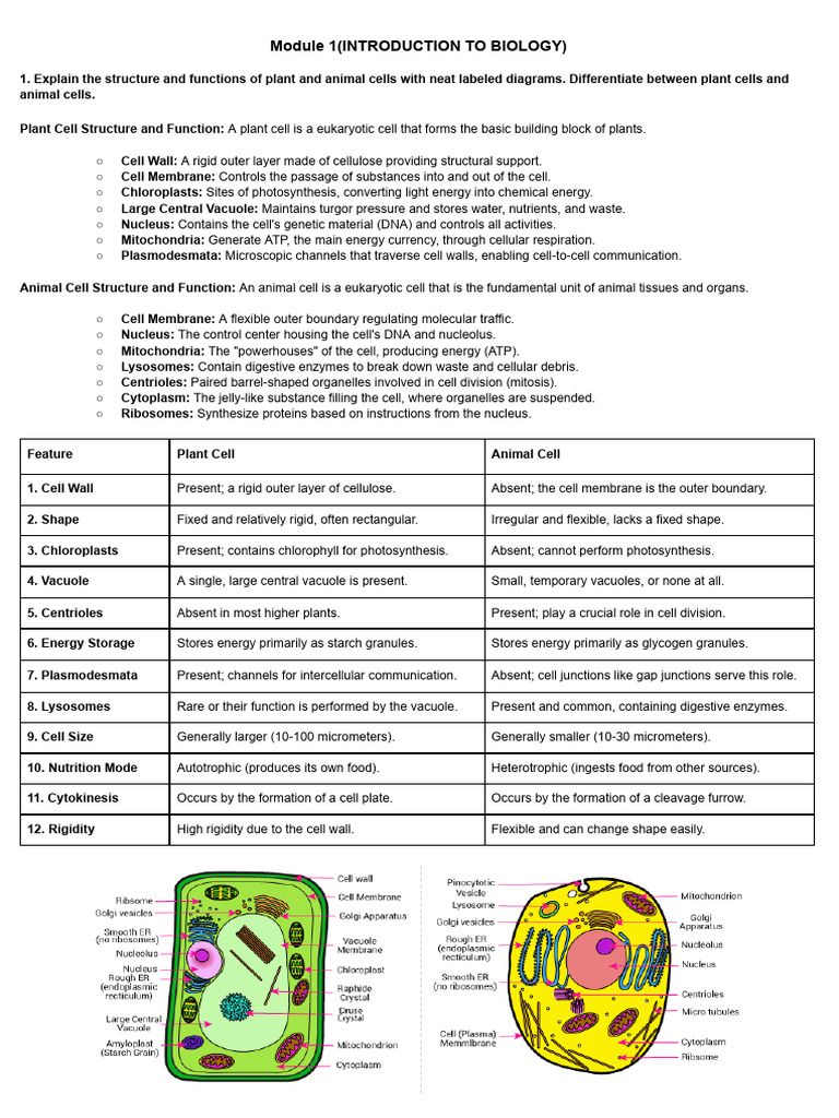 Biology For Engineers (BBOK407) Imp QnA-1 | PDF | Cell Potency | Lipid