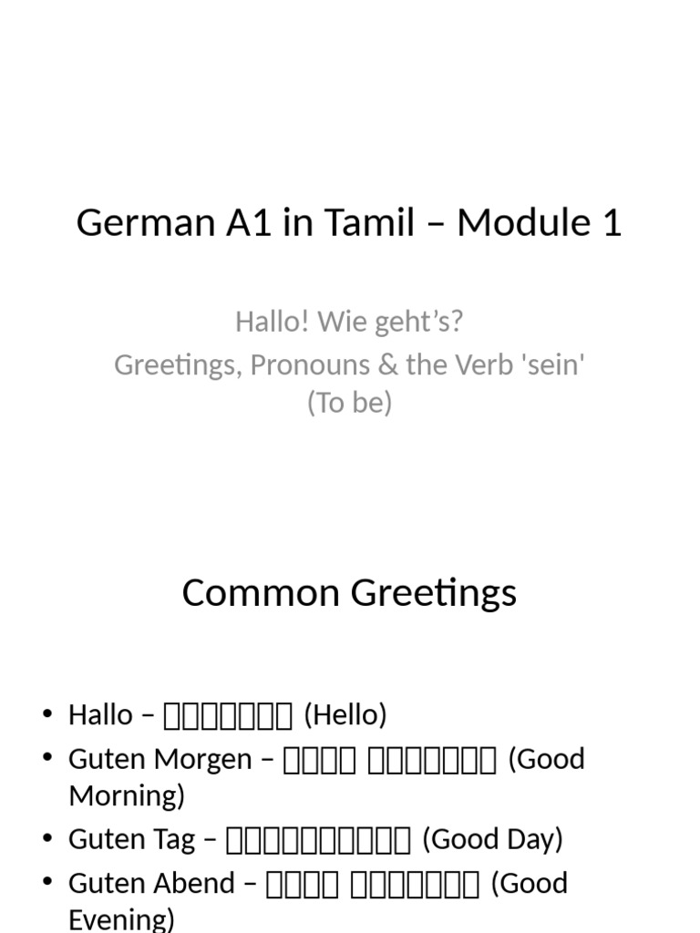 German A1 Module 1 in Tamil | PDF
