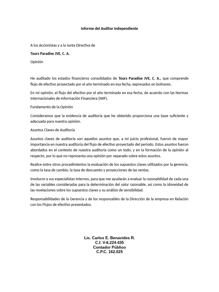 Informe Del Auditor Independiente | PDF