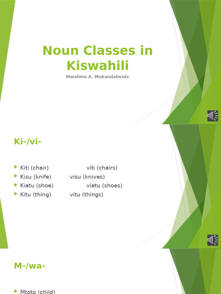 Noun Classes | PDF