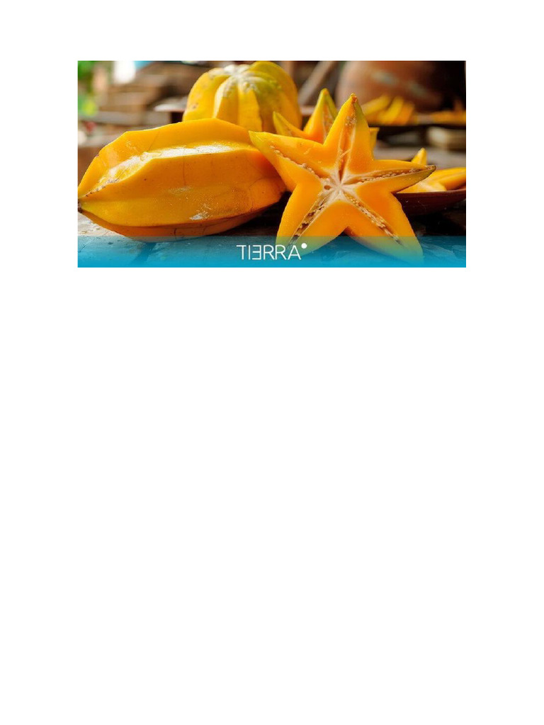 Carambo La | PDF