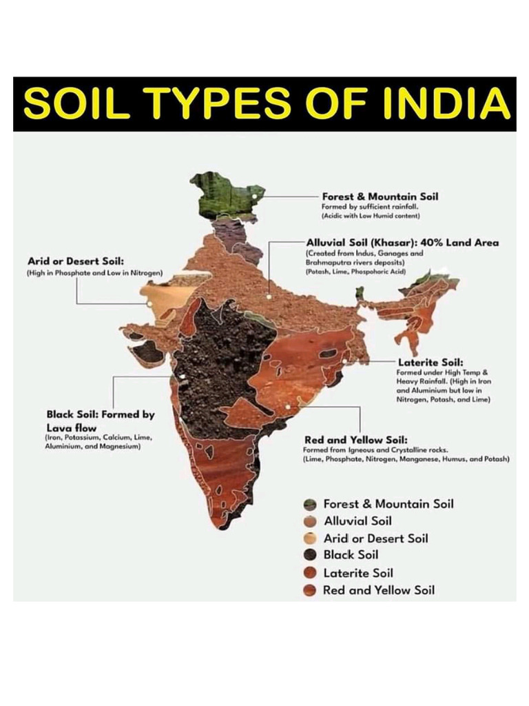 Soil Type of India | PDF