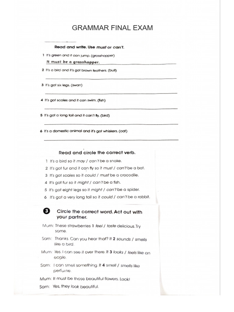 Grammar FINAL Exam Corrected | PDF