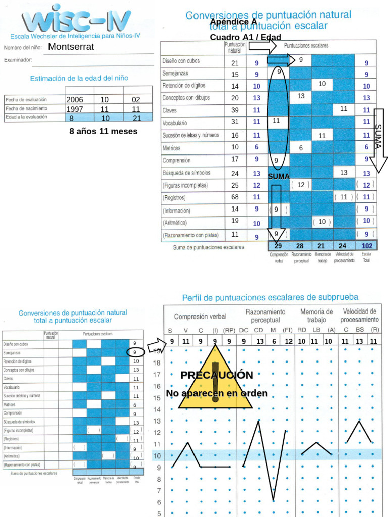 WISC IV Calificación 1 | PDF