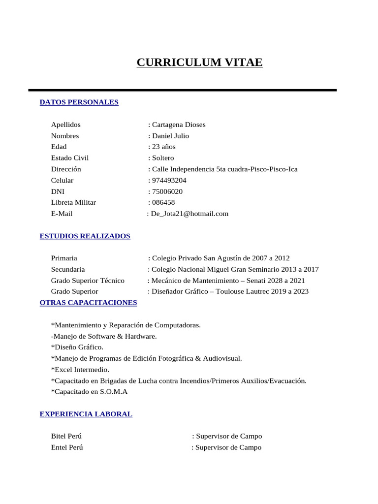 Curriculum Vitae: Datos Personales | PDF