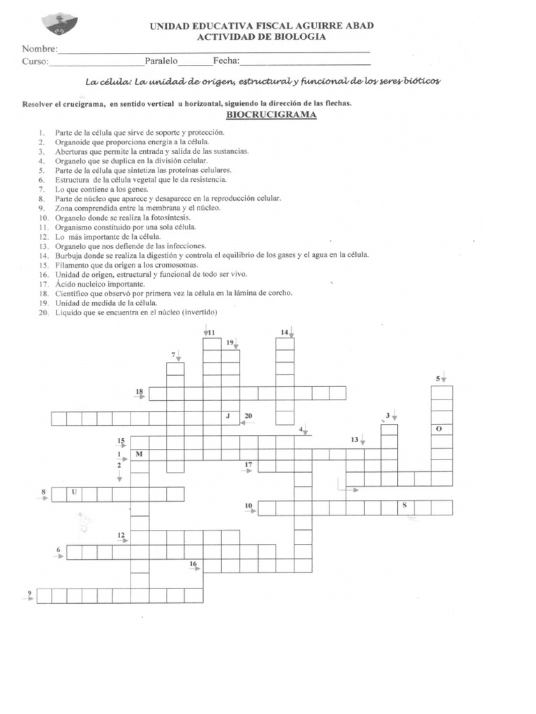 Bio Cruc I Grama | PDF