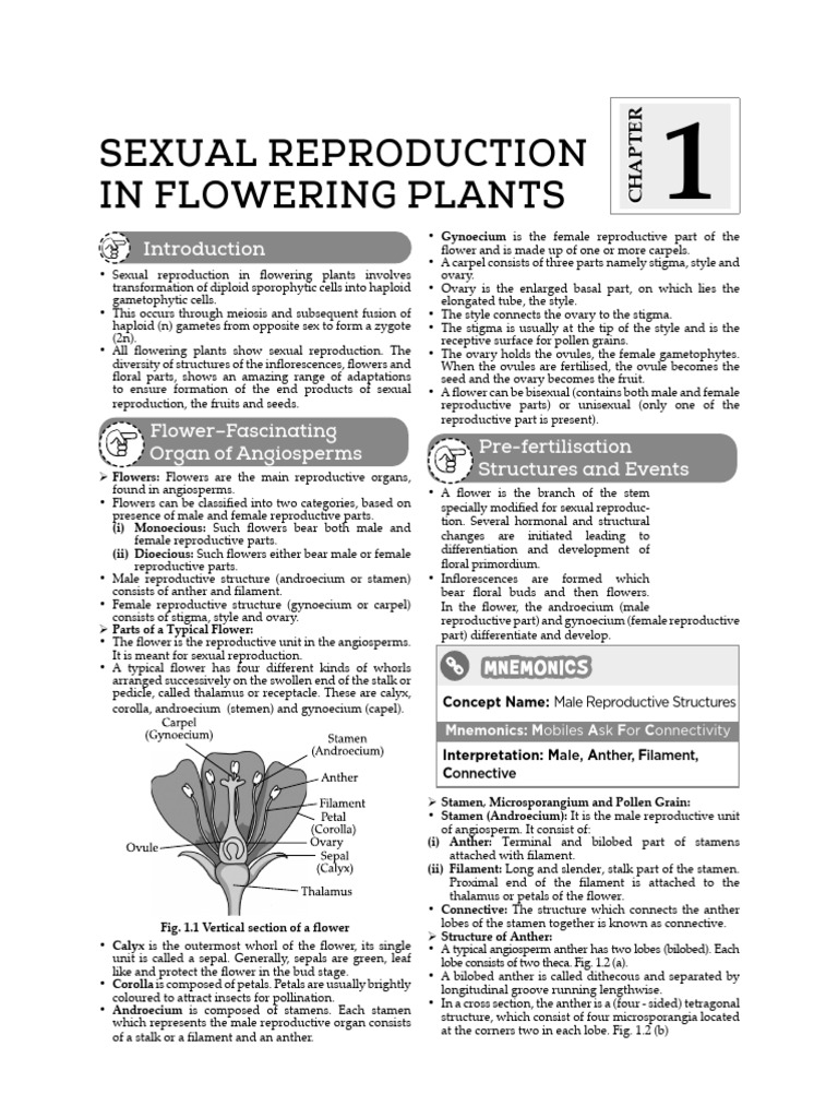 Biology Plus Two | PDF | Flowers | Seed