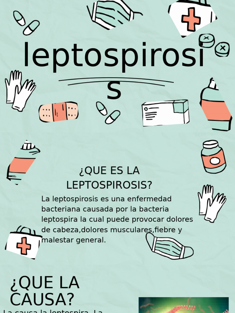 LEPTOSPIROSIS | PDF
