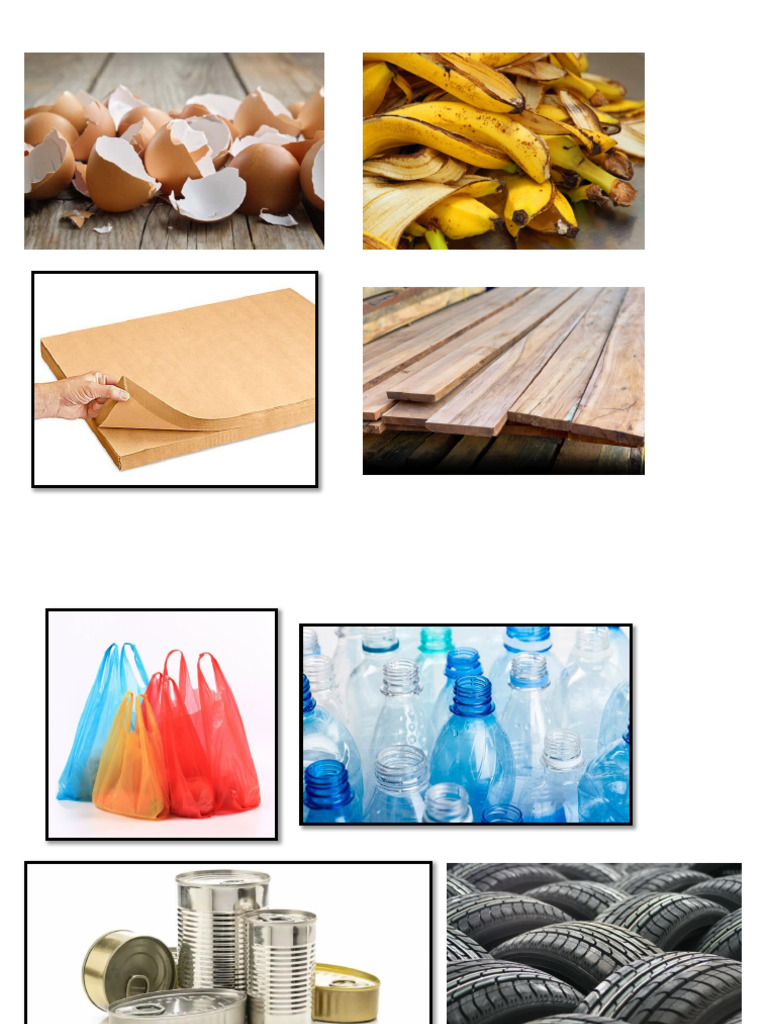 Objetos Biodegradables y No Biodegradables | PDF