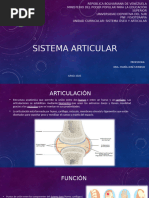 Clasificacion - de - Articulaciones1 | PDF | Articulación | Cartílago