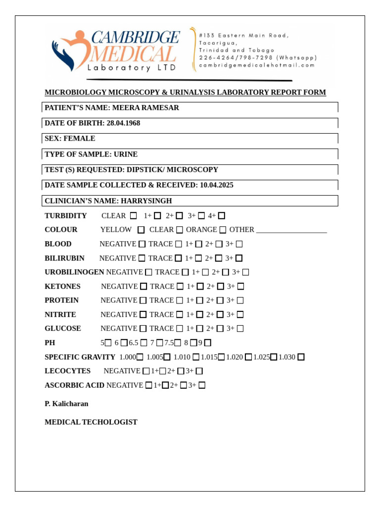 Urinalysis Report Template | PDF